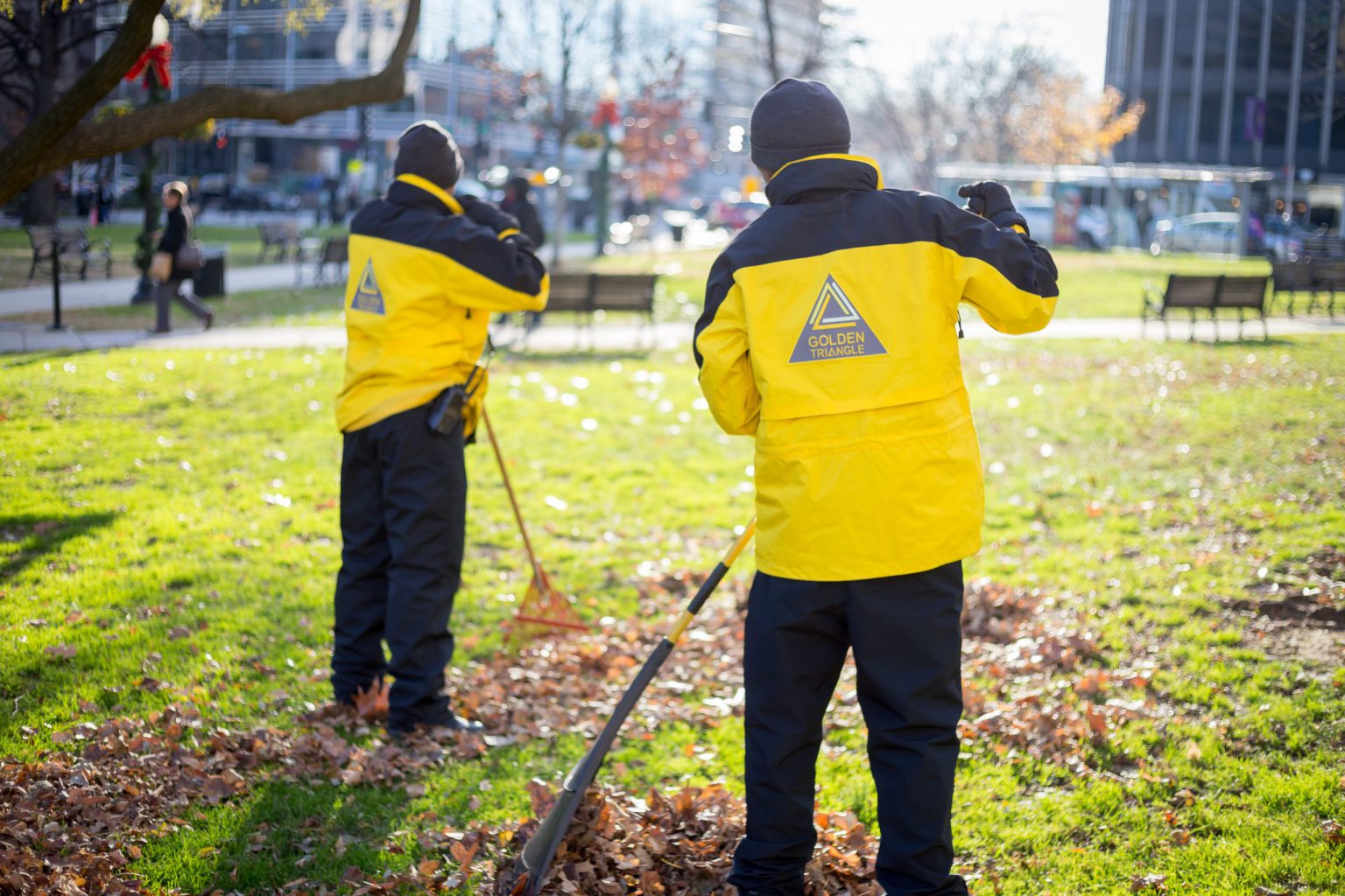 Careers - Golden Triangle