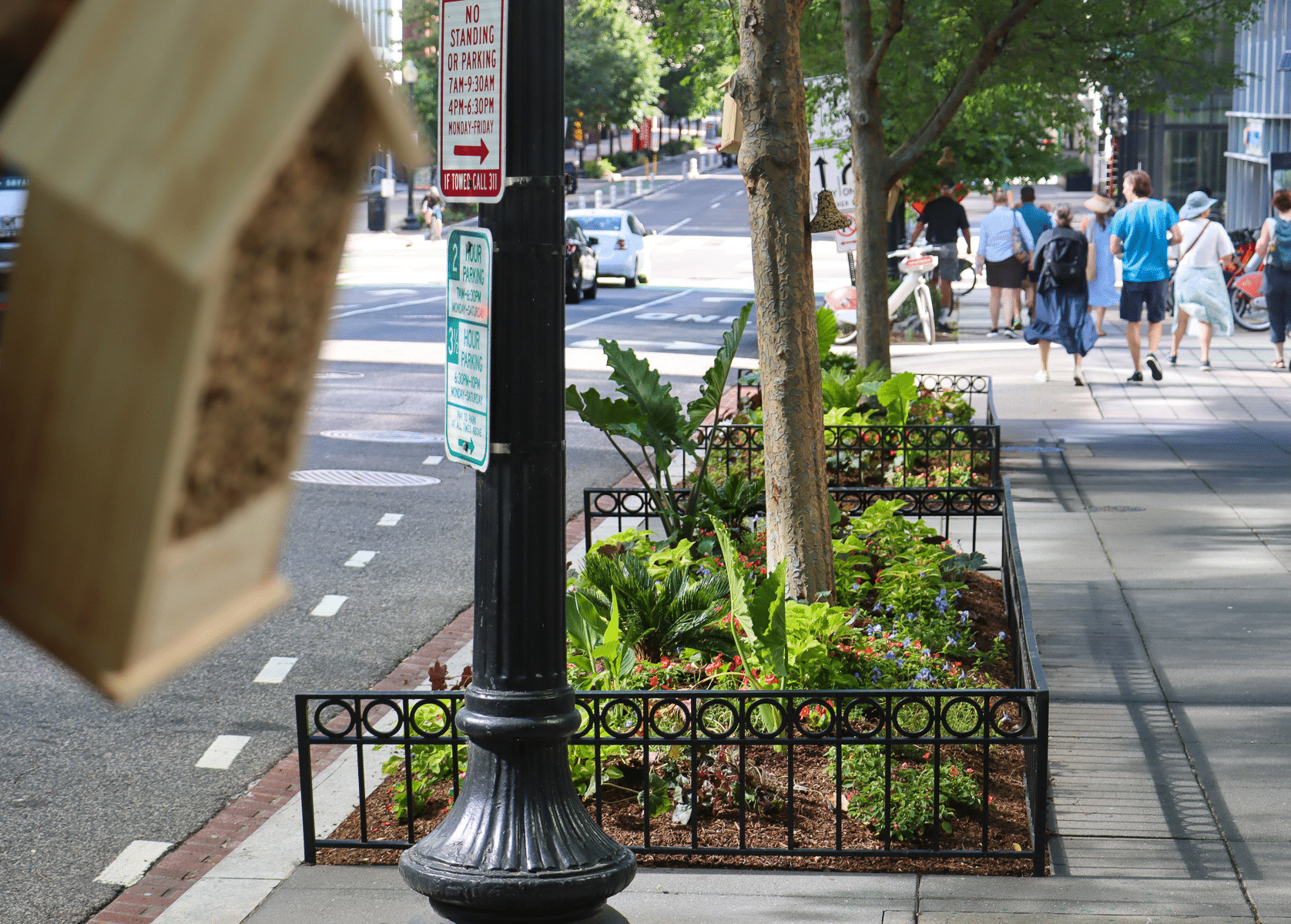 GLDN+ Streets - Golden Triangle